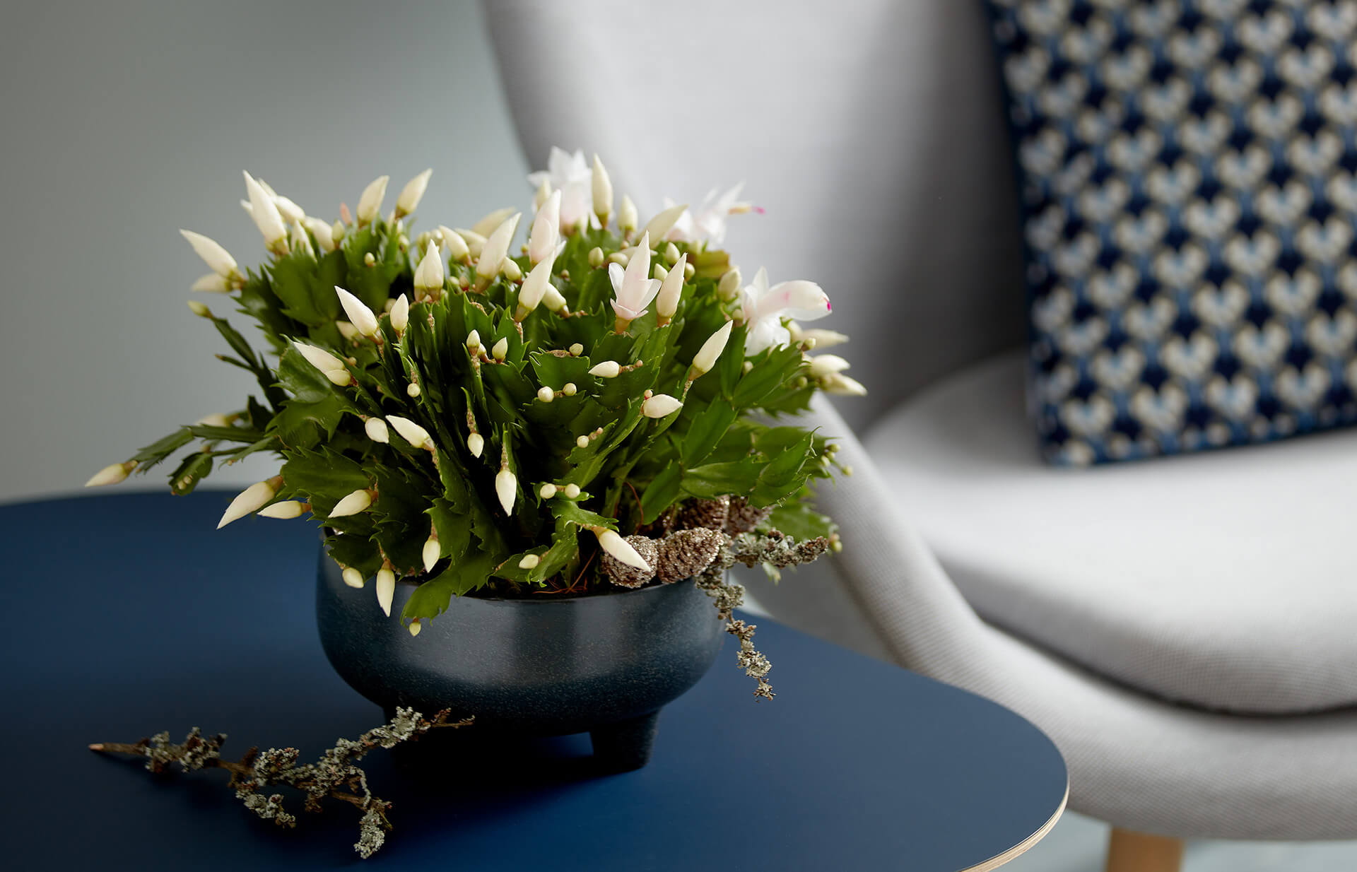 Greenex Flowering Assortment