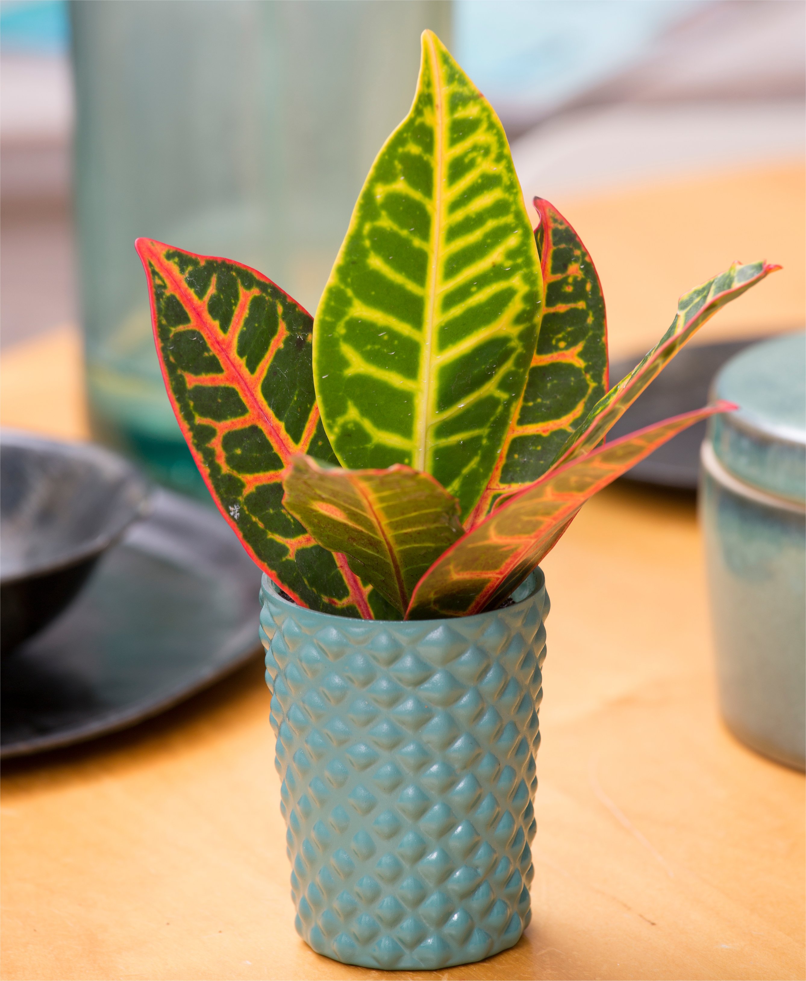 Greenex Foliage Assortment